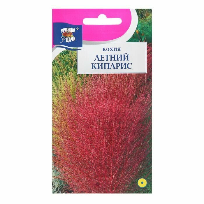 Семена цветов Кохия "Летний кипарис", 0,2г