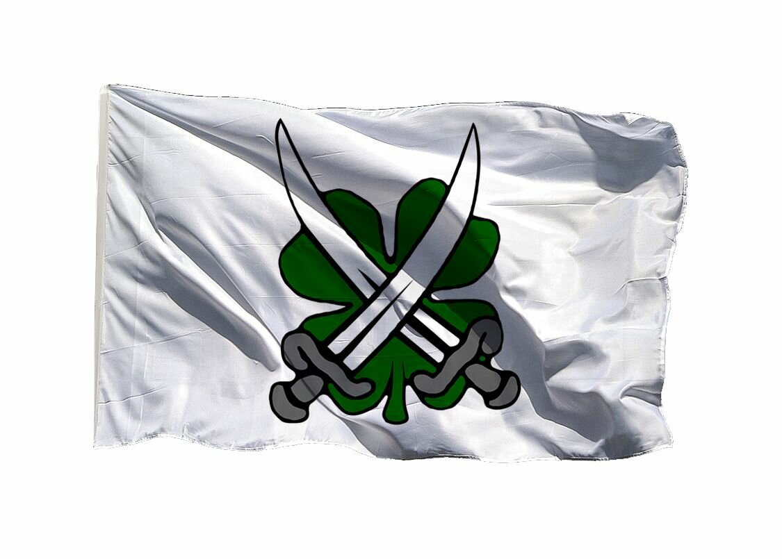 Флаг Рейнджеров Рейли из Fallout 3 Фоллаут 90х135 см на сетке для улицы, для флагштока