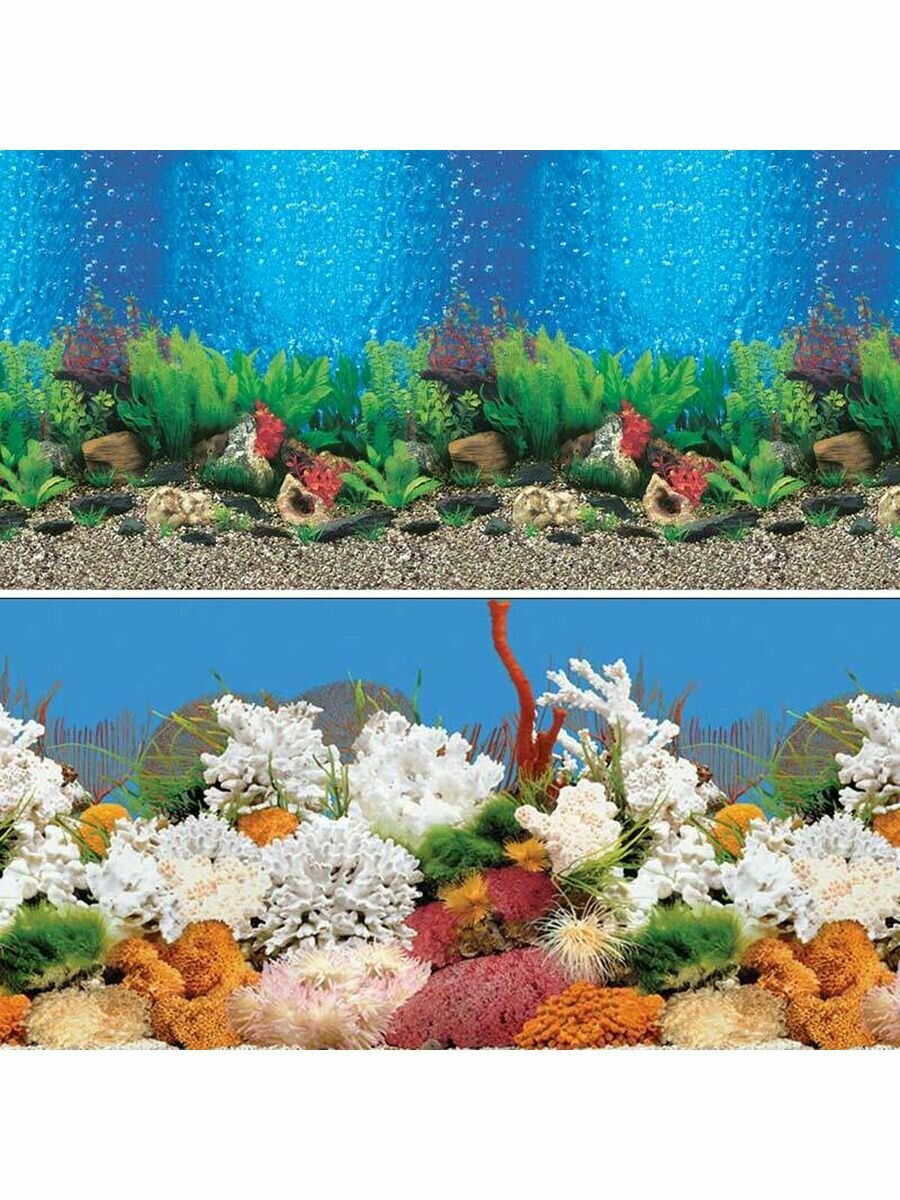 Фон Laguna 0,3*15м "Голубые Гавайи/Белый коралл"