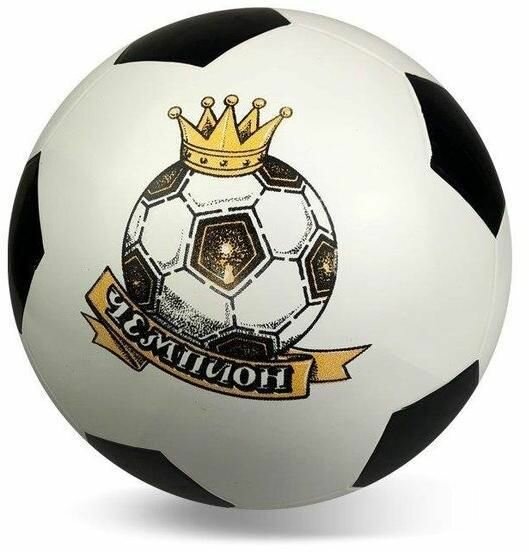 Мяч д. 200 мм "Чемпион"