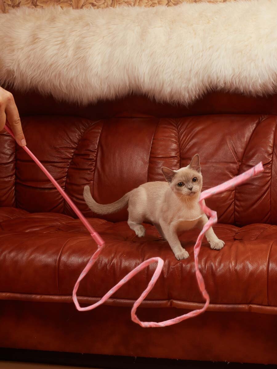 Игрушка для кошек Japan Premium Pet Дразнилка с загадочным хрустом, розовая