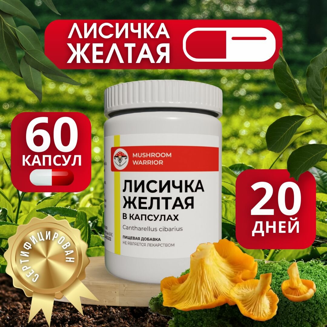 Лисичка жёлтая, 60 капсул, антипаразитарный комплекс, Mushroom Warrior, комплексная пищевая добавка