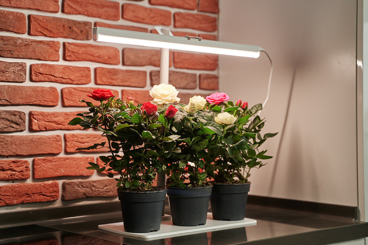 Мощная Led чудо фито лампа регулятор роста ЗК16/TM 16 Ватт светодиоды для подсветки зелени