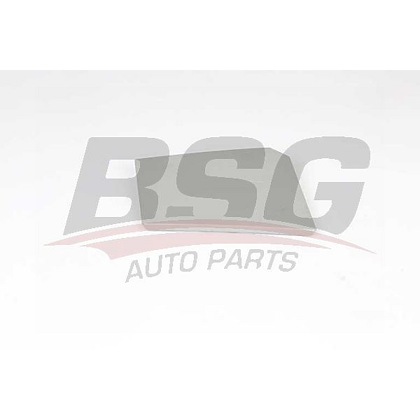 BSG BSG70-971-001 (BSG70971001) крышка заливной горловины топливного бака / Citroen (Ситроен) jumper, Fiat