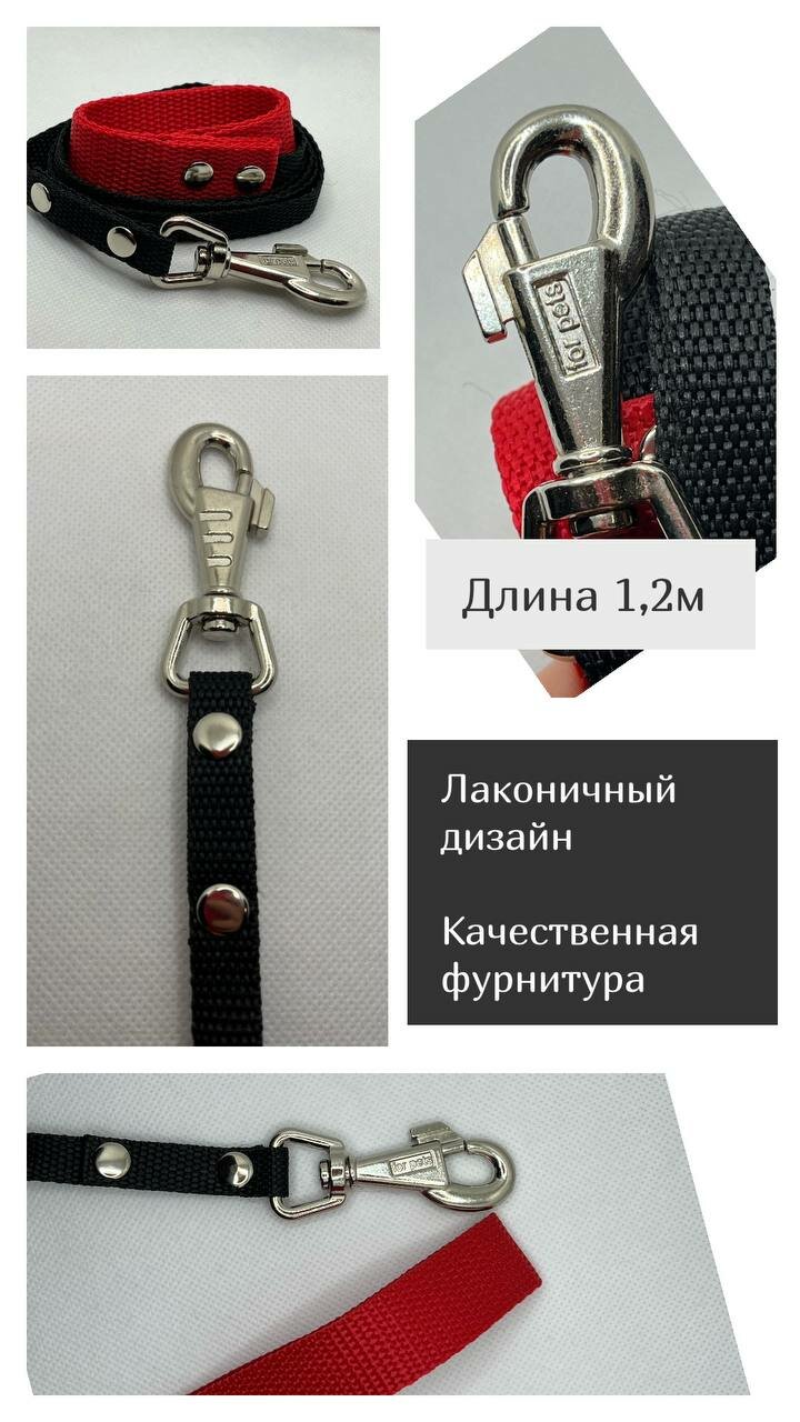 Поводок для средних пород "Водилка"