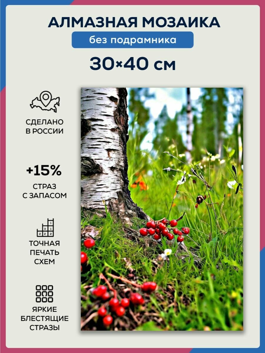 Алмазная мозаика 30x40 Лесные ягоды без подрамника