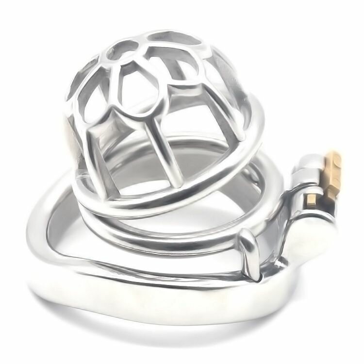 Пояс верности FRRK, Металлическая клетка для члена, Изогнутое кольцо, бдсм товар для секса, Набор верности 18+, F01