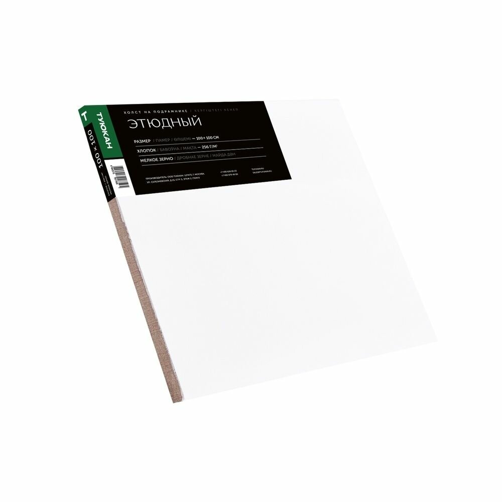Холст Туюкан Этюдный, 100х100 см, 256 г/м2, мелкое зерно (Т0016101)