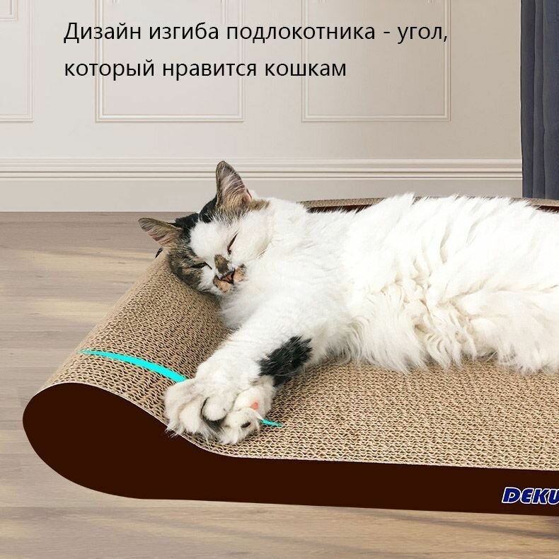 Когтеточка — фото 1