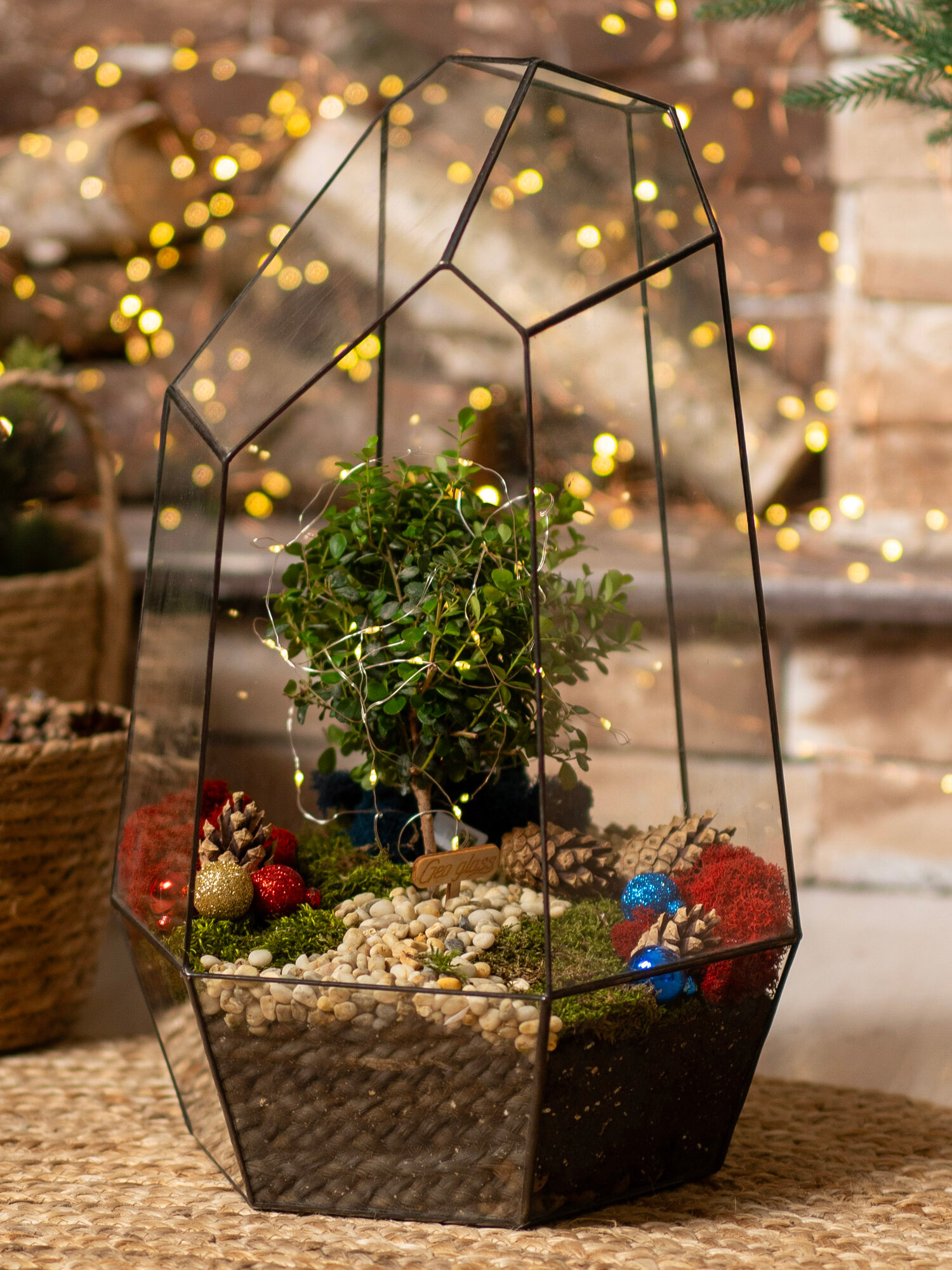 Geo Glass: Мирт комнатный , мини-дерево Мирсина , флорариум готовый 45 см