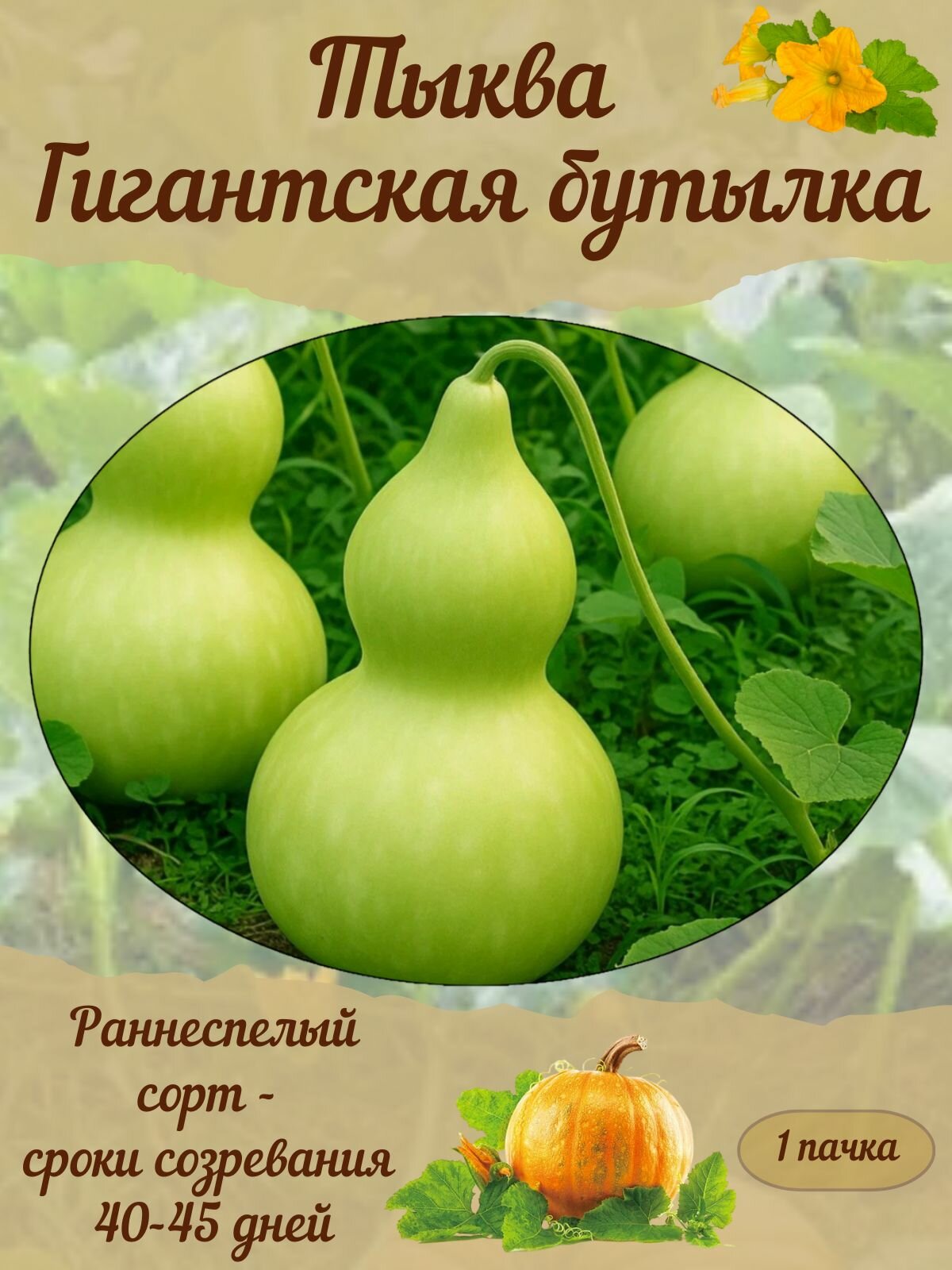 Тыква Гигантская бутылка, семена, 10 шт.
