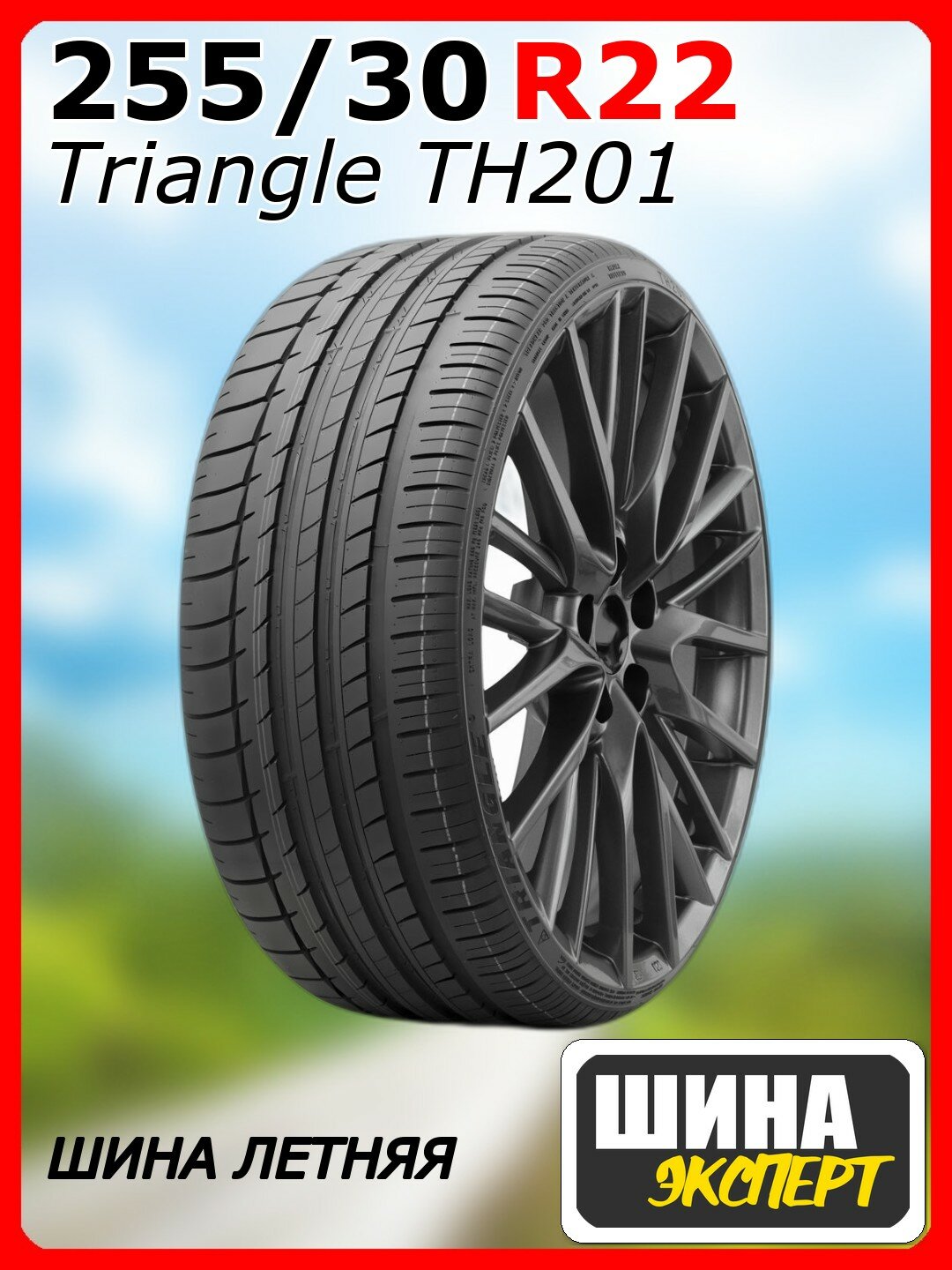 Шина летняя Triangle 255/30/22 Y 95 TH201 для легковых автомобилей CBPTH20125P22YFJ
