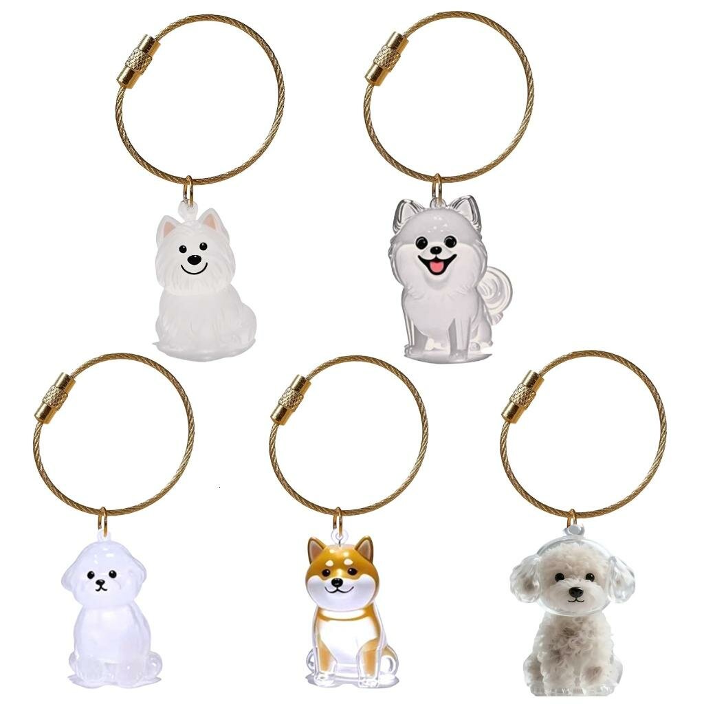 Ключница с шерстью питомца, комплект из 5 шт.