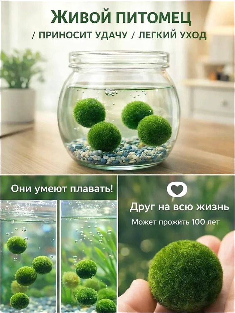 Живые водорослиНабор 4 шт, Натуральный мох шарики для аквариума, Символ удачи и любви
