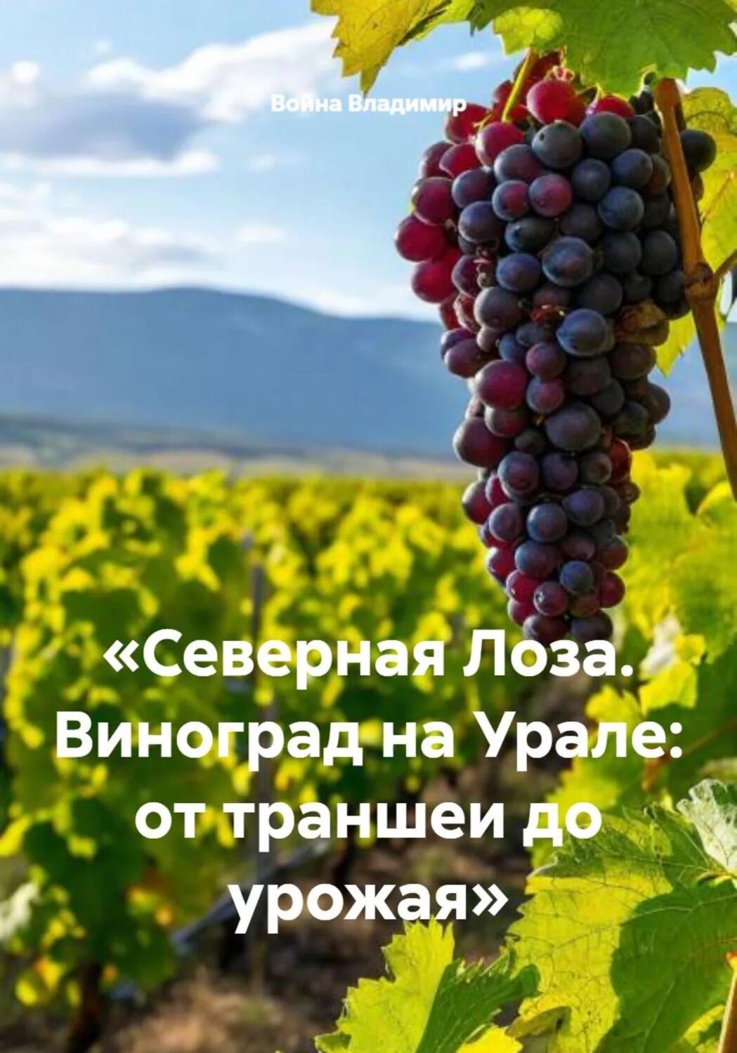 Северная Лоза. Виноград на Урале: от траншеи до урожая [Цифровая книга]