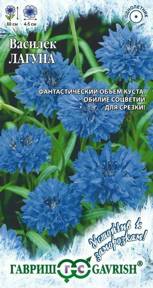 Семена Василёк Лагуна, (4 упак.)