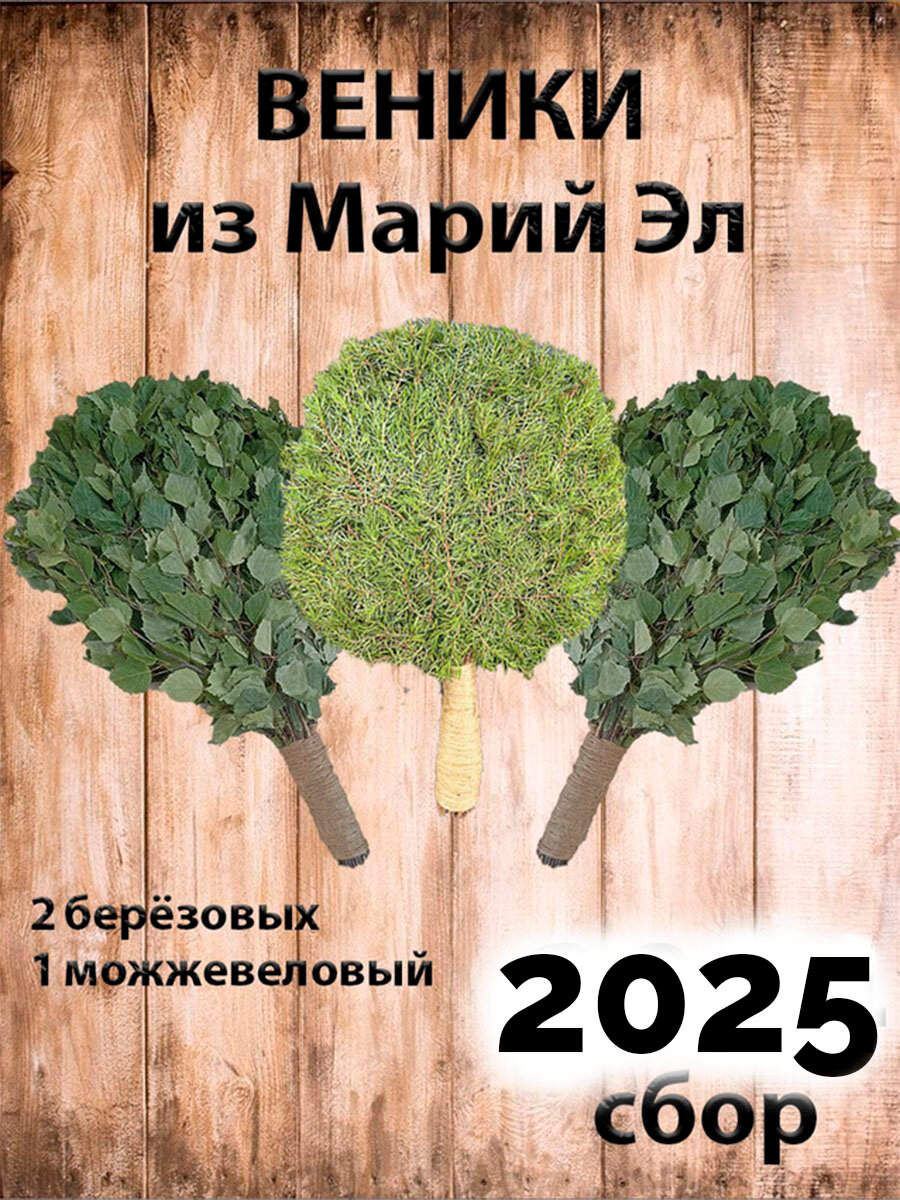 Комплект веников для бани, береза 2 штуки, можжевельник из Марий Эл