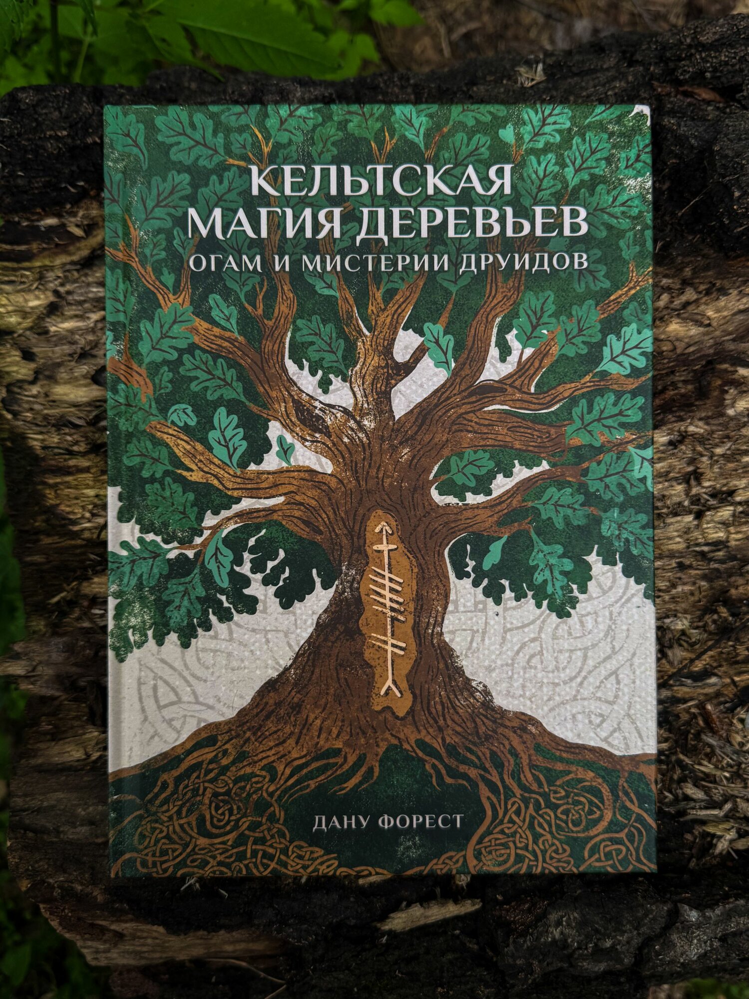 Кельтская магия деревьев: огам и мистерии друидов