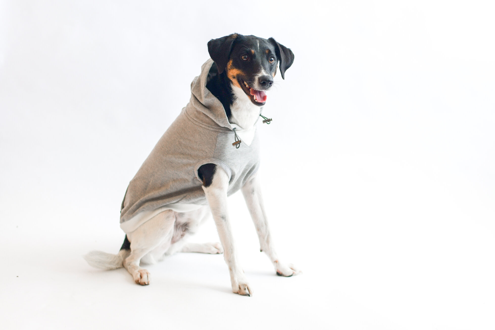 DOG GONE SMART, Расслабляющяя толстовка "BioBliss Relaxing hoodie", серая с оливковым, 20см, 176170