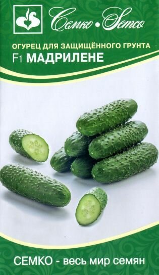 Семена Огурец Мадрилене F1 (5шт)1 пакет