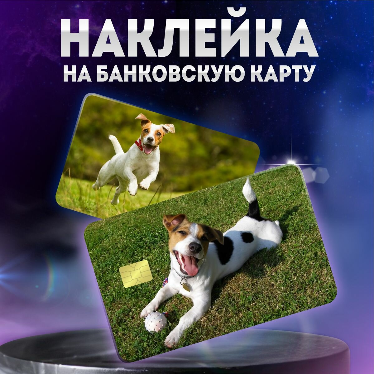 Наклейка на банковскую карту собачки джек рассел