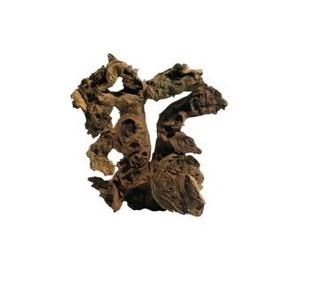 Коряга саванная H002