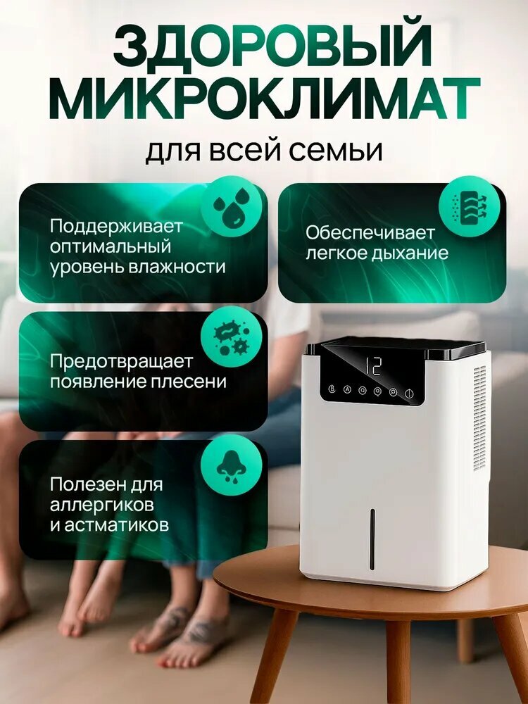 Осушитель воздуха, для дома, автоматическое размораживание, ионизация, пульт ДУ — фото 1