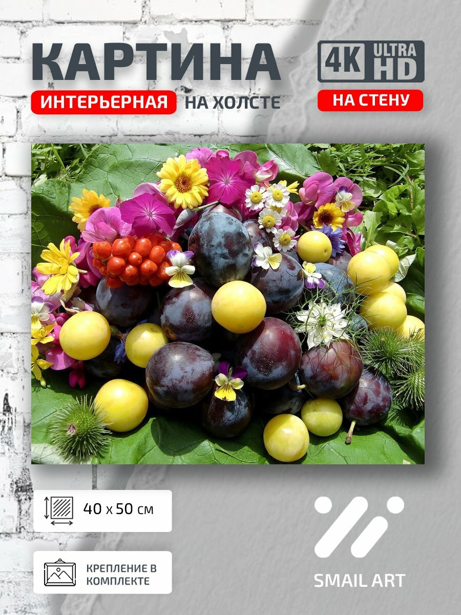 Картина на холсте интерьерная 40 на 50 на стену Алыча Food для кафе кулинария интерьер