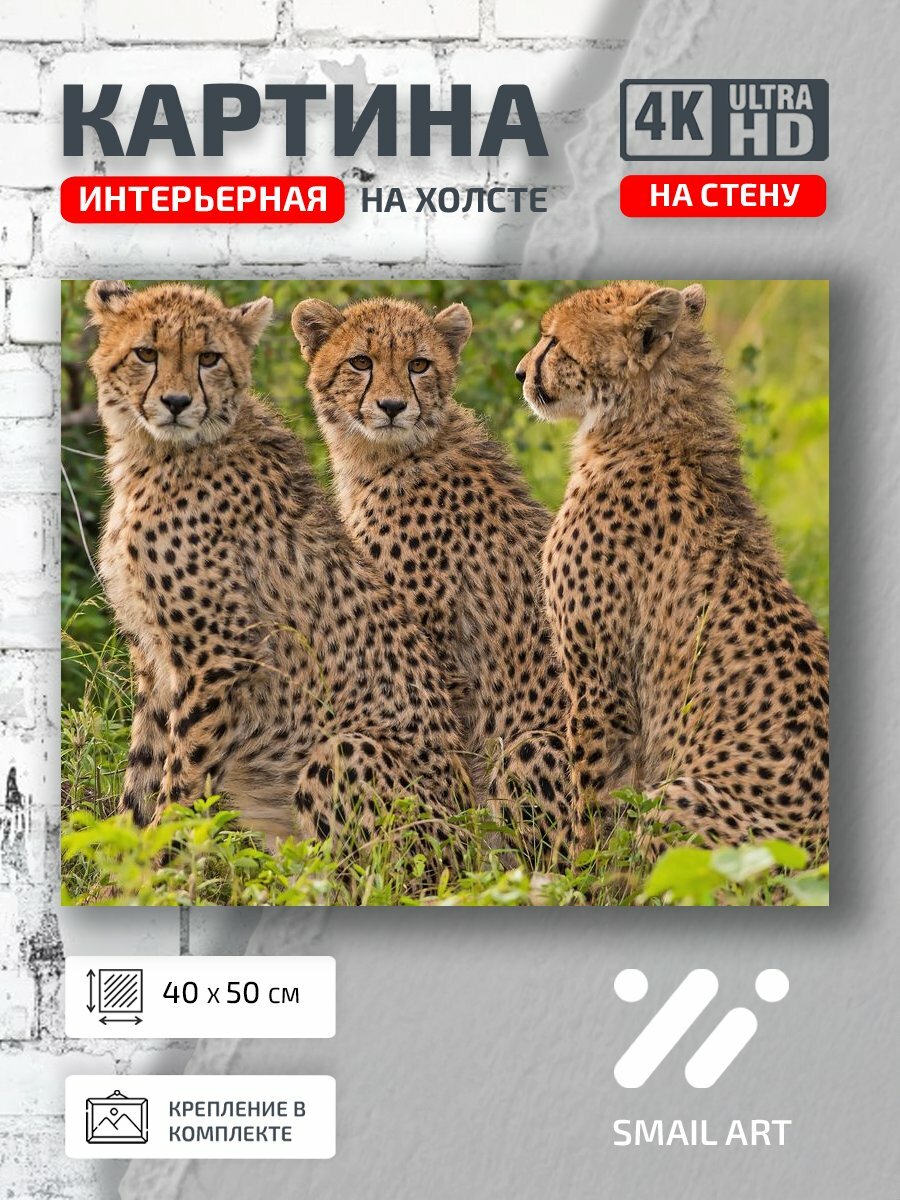 Картина на холсте интерьерная 40 на 50 на стену Звери Mood для гостиной атмосфера интерьер
