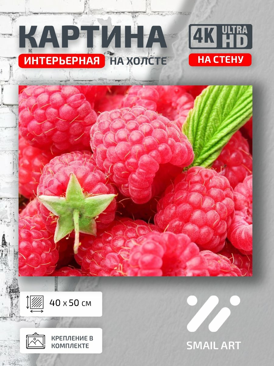 Картина на холсте интерьерная 40 на 50 на стену Спелые Food для гостиной кулинария интерьер