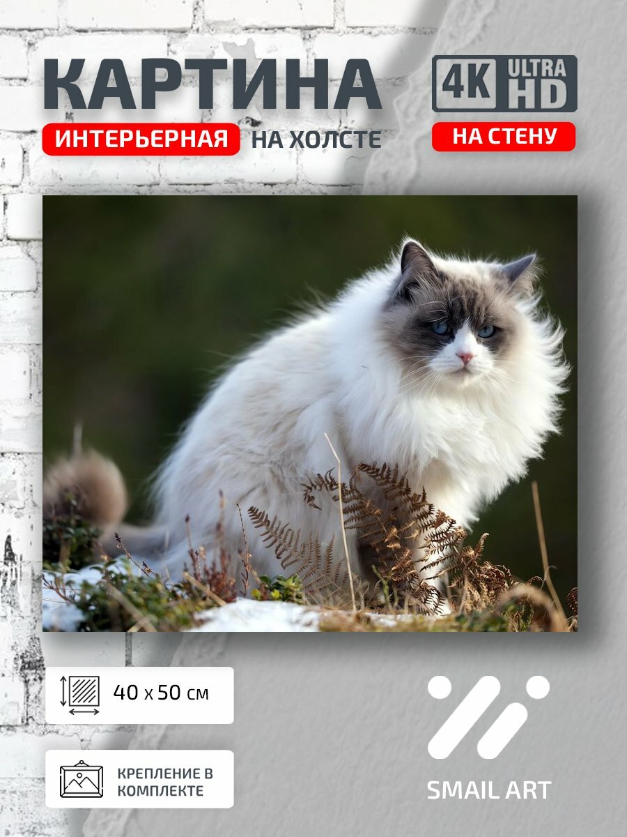 Картина на холсте интерьерная 40 на 50 на стену Белый cat для кафе пейзаж интерьер декор