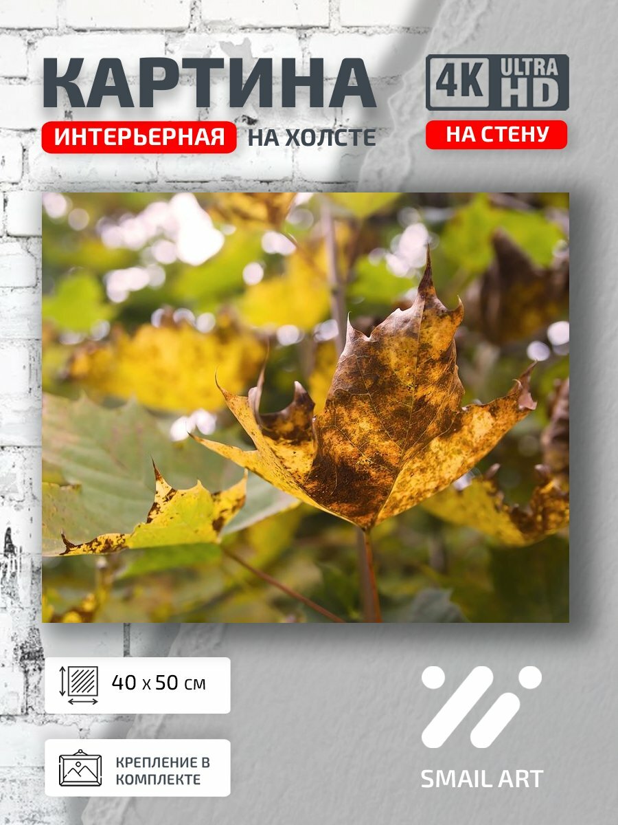 Картина на холсте интерьерная 40 на 50 на стену Деревья Landscape для офиса пейзаж интерьер