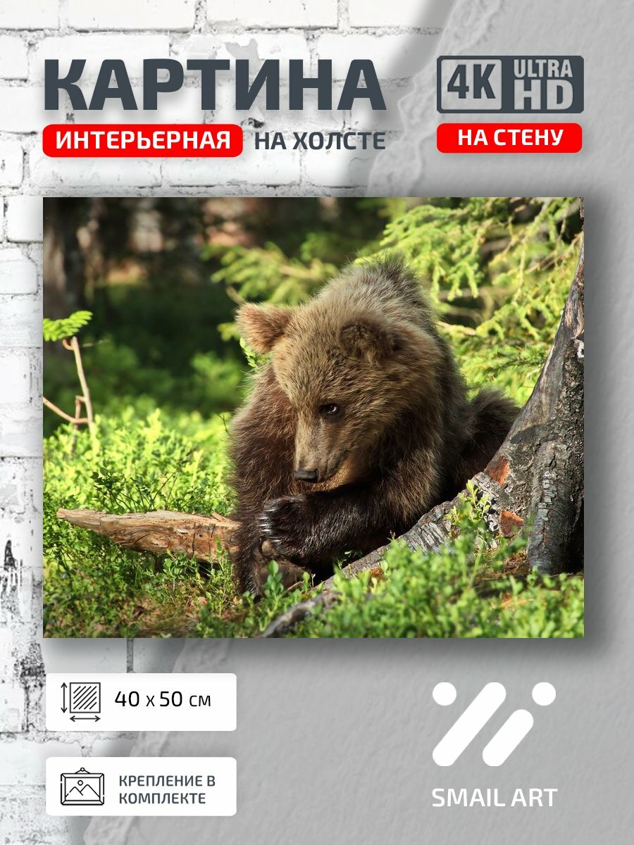Картина на холсте интерьерная 40 на 50 на стену Дерево Landscape для спальни пейзаж декор