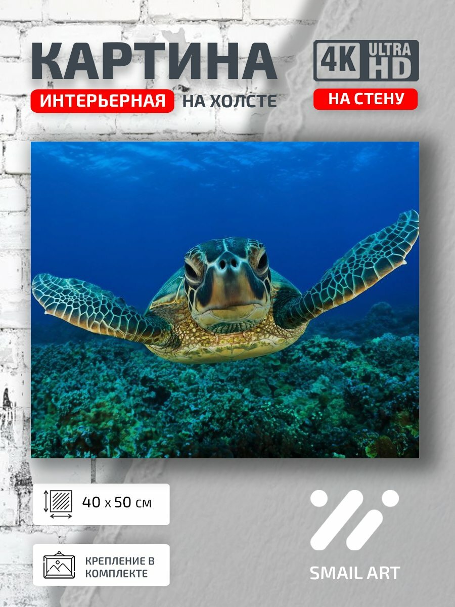 Картина на холсте интерьерная 40 на 50 на стену Черепаха Mood для гостиной атмосфера декор