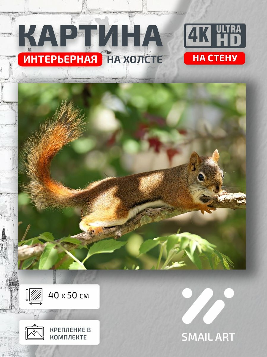 Картина на холсте интерьерная 40 на 50 на стену Ветка Mood для спальни атмосфера интерьер
