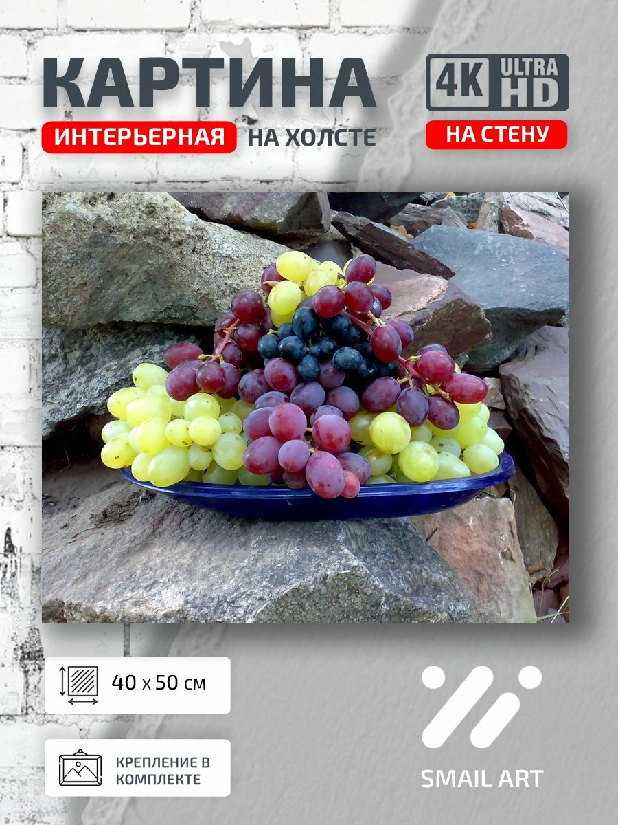 Картина на холсте интерьерная 40 на 50 на стену Винограда Food для офиса кулинария интерьер