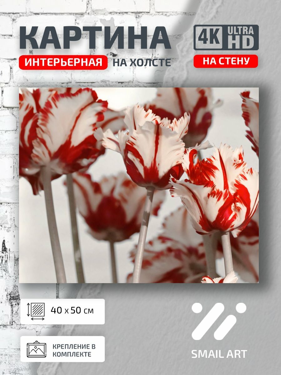 Картина на холсте интерьерная 40 на 50 на стену Белые Landscape для гостиной пейзаж декор