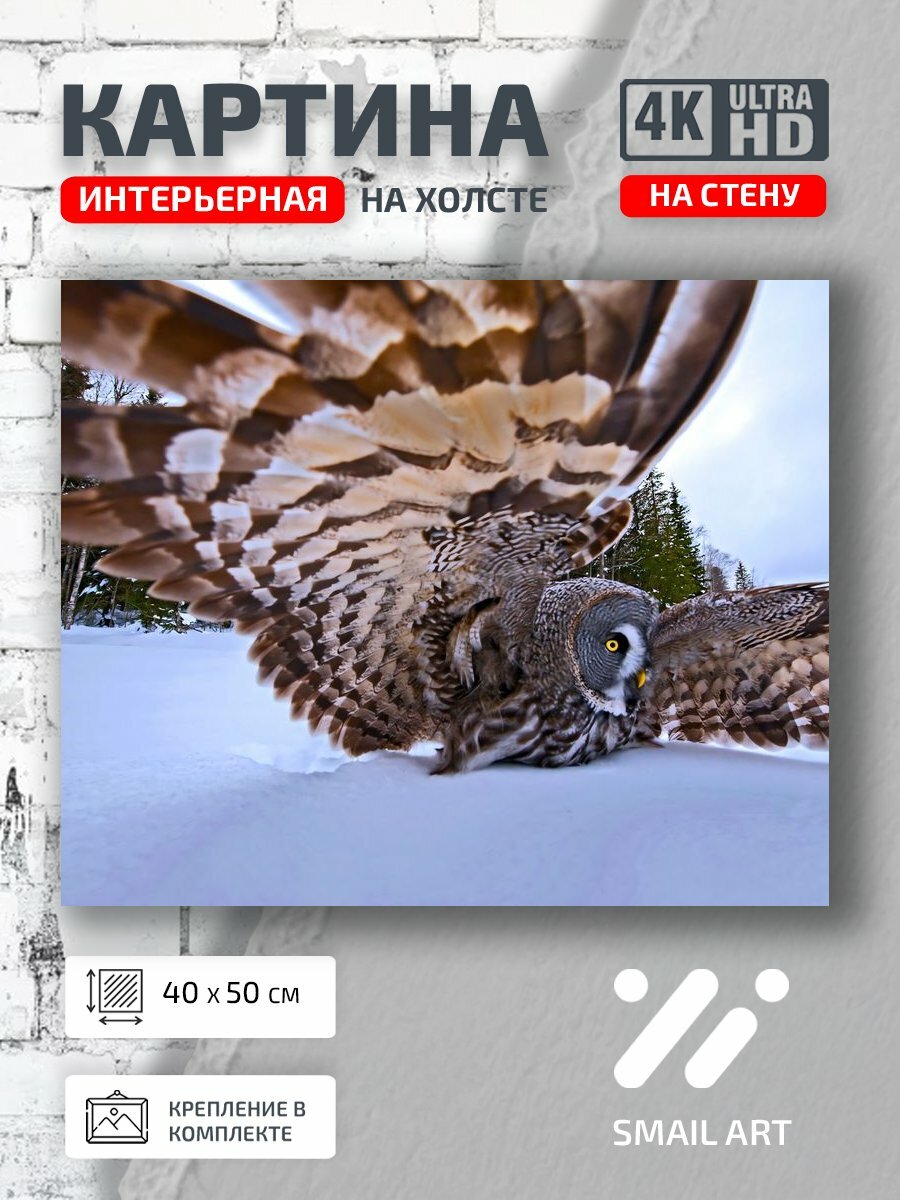Картина на холсте интерьерная 40 на 50 на стену Сова Landscape для офиса пейзаж интерьер