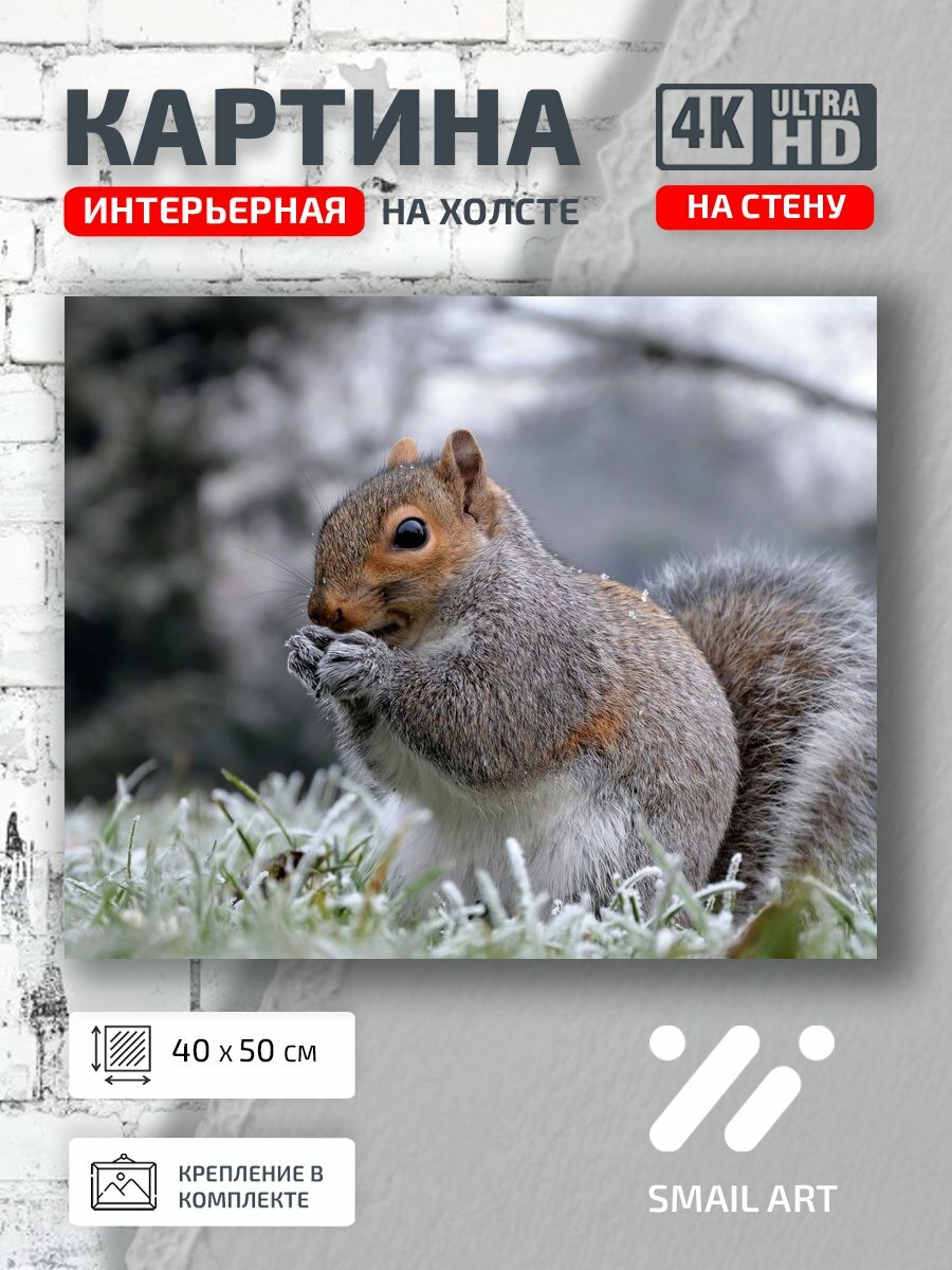Картина на холсте интерьерная 40 на 50 на стену Инеем Mood для спальни атмосфера интерьер