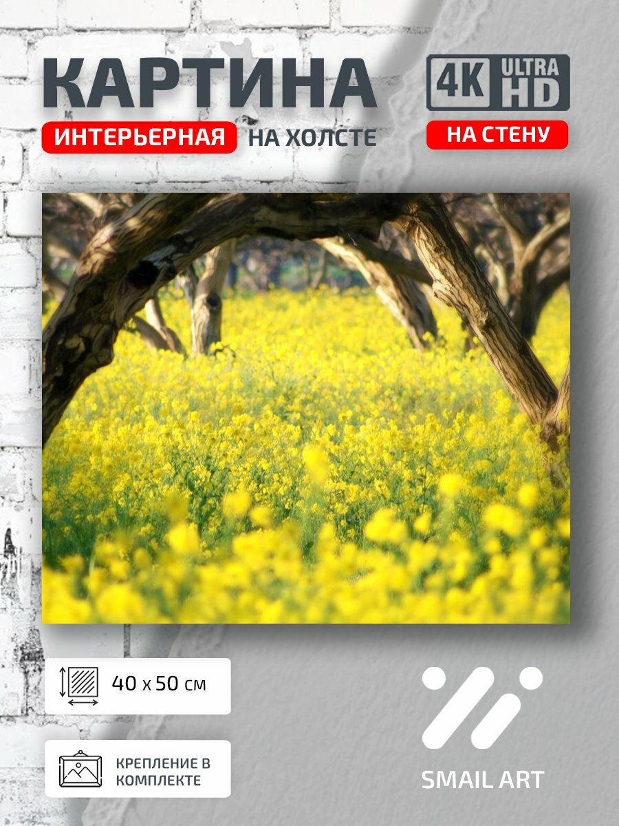 Картина на холсте интерьерная 40 на 50 на стену Цветов Landscape для кафе пейзаж интерьер