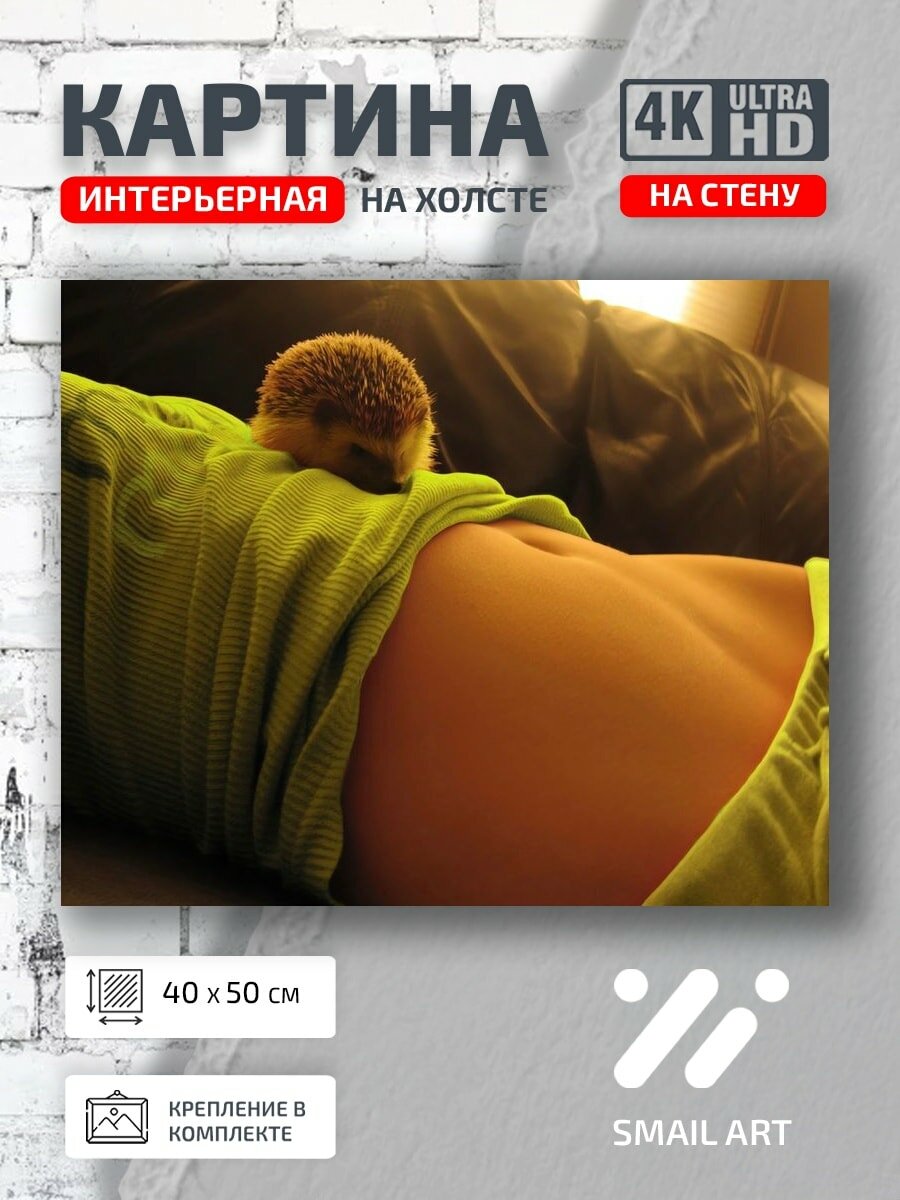 Картина на холсте интерьерная 40 на 50 на стену Девушка Ёжик для гостиной атмосфера