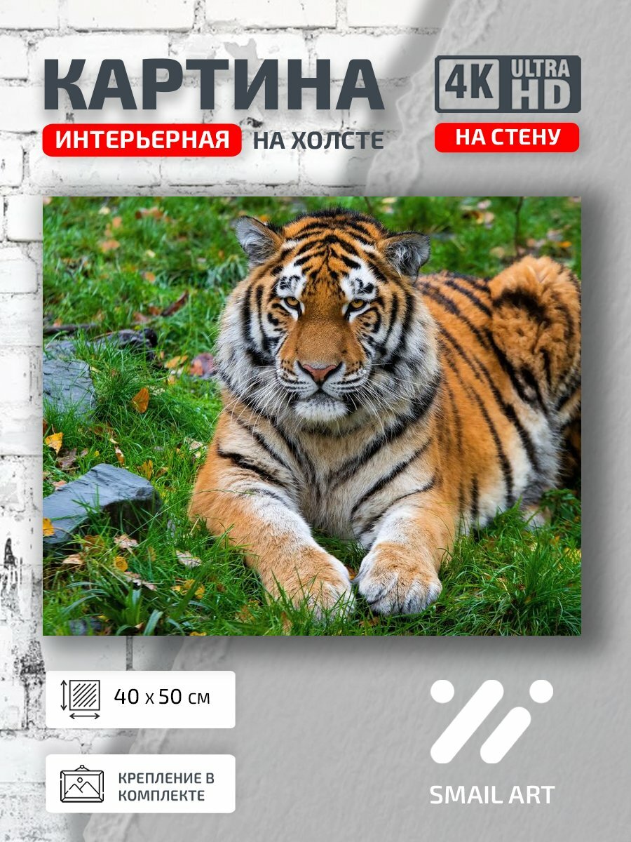Картина на холсте интерьерная 40 на 50 на стену Траве Animal для детской animal style декор