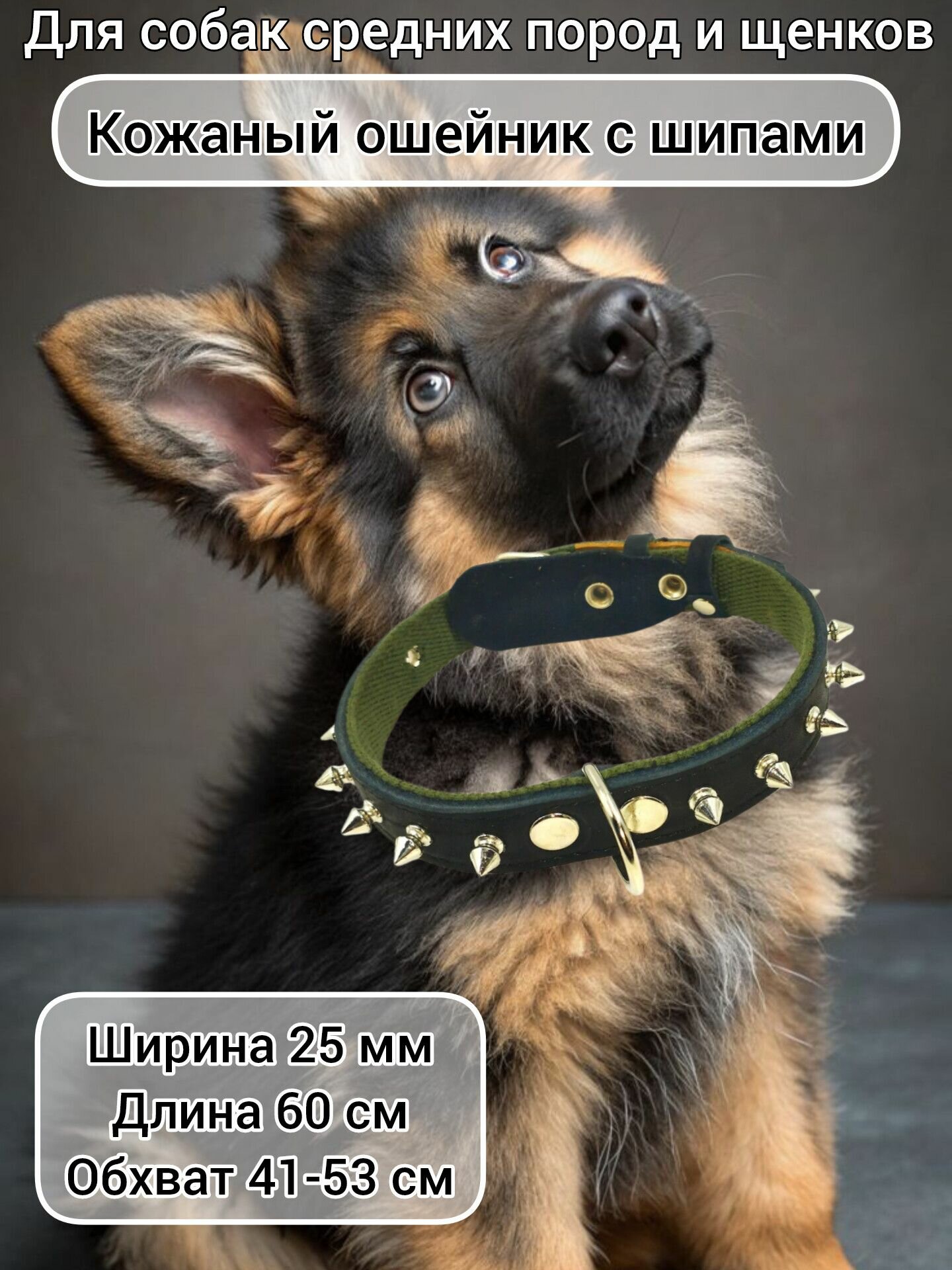 Ошейник из натуральной кожи на брезенте с шипами для собак средних пород. Ширина 25 мм Длина 60 см Объём шеи 41-53 см. Кожаный ошейник с шипами.