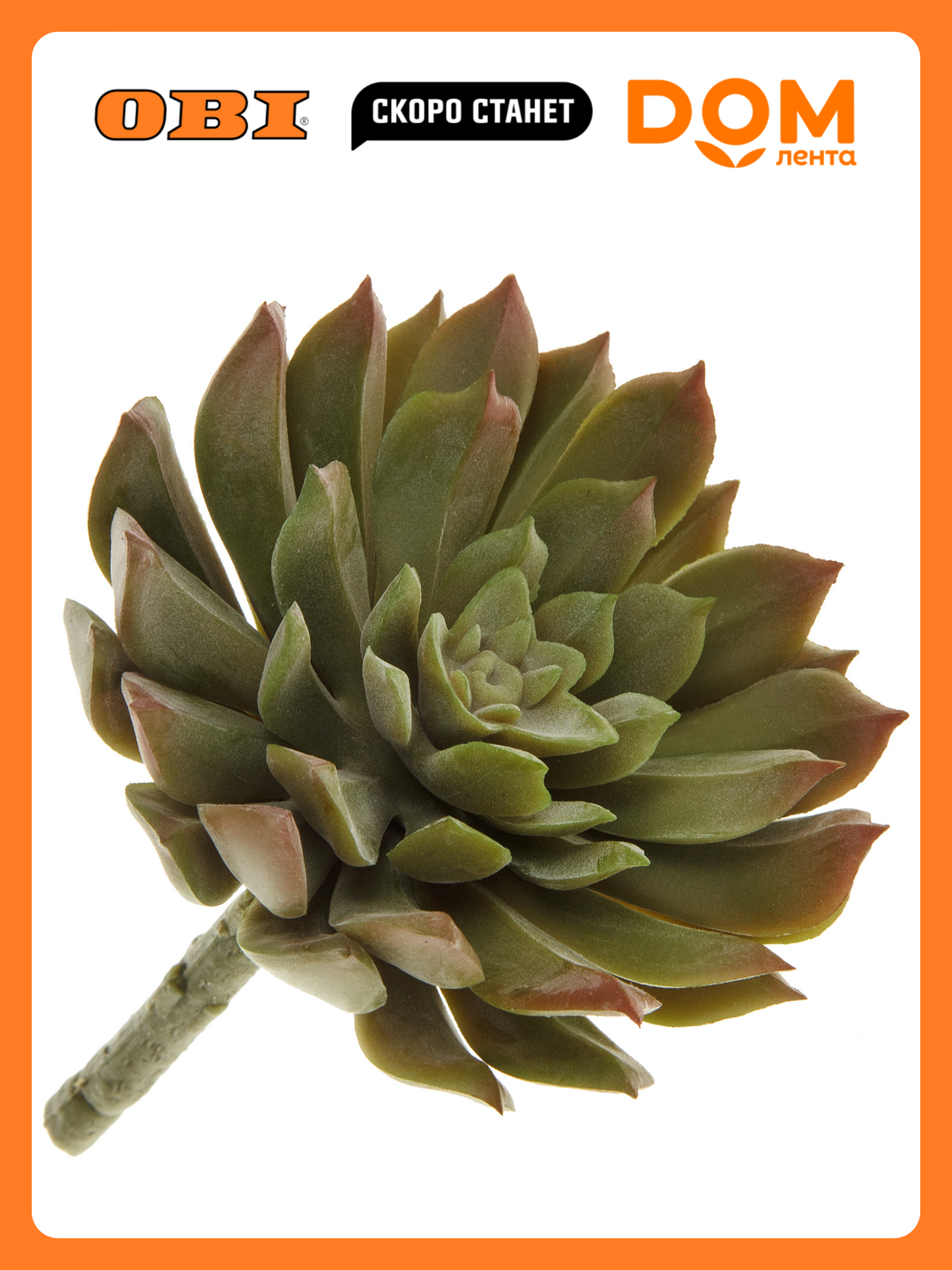 Растение искусственное Суккулент Эониум Кастелло 10xh12 см