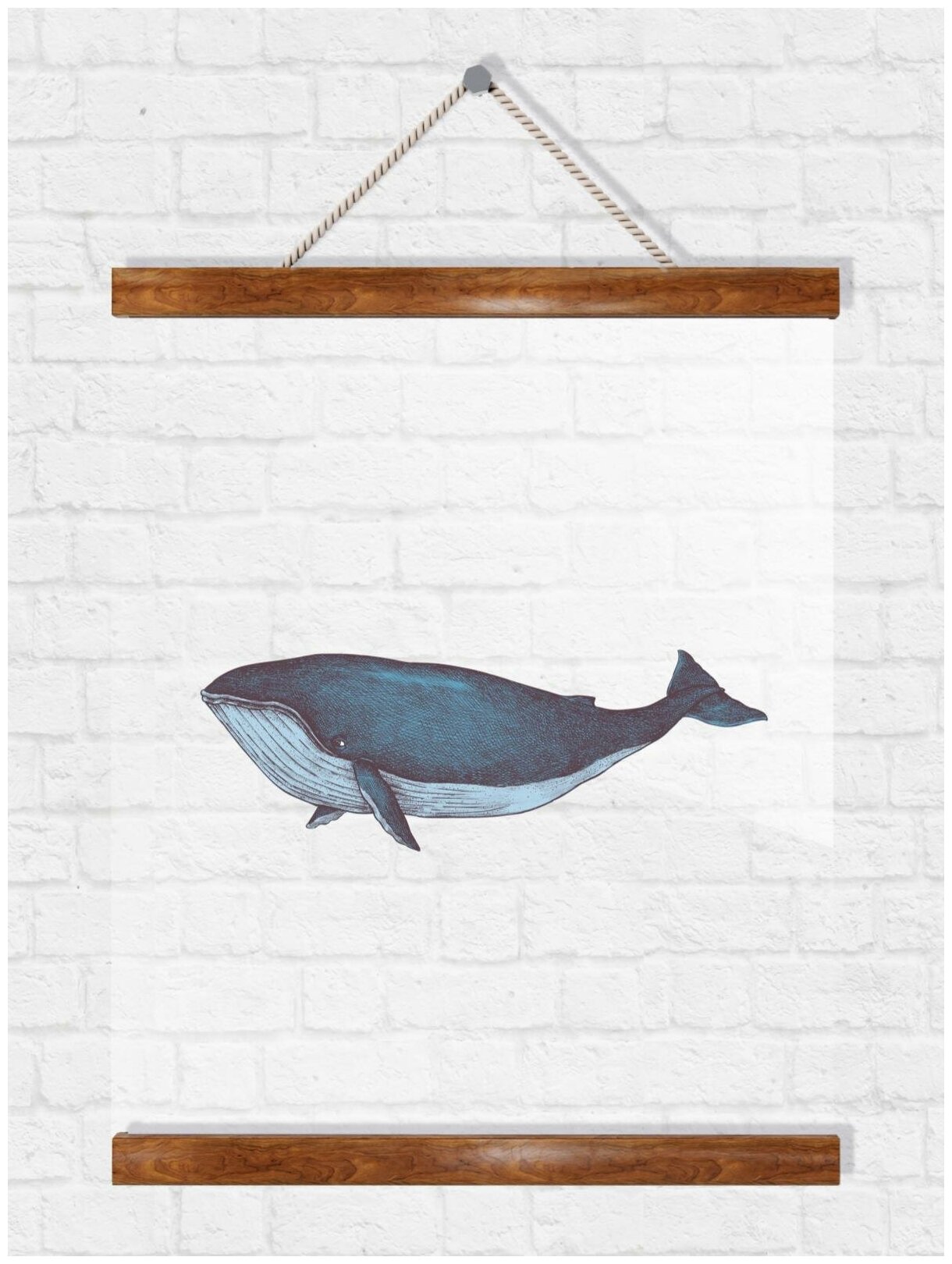 Постер / Плакат / Картина Прозрачный постер - Большой синий кит 50x70