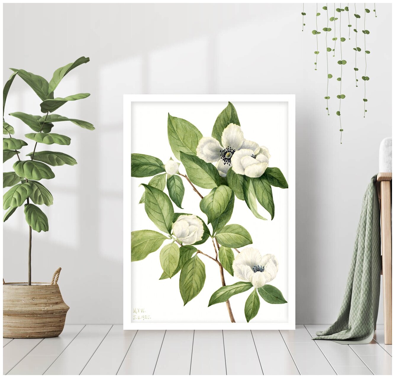 Постер "Магнолия, ботаническая иллюстрация" 50x70 в белой рамке на стену для интерьера