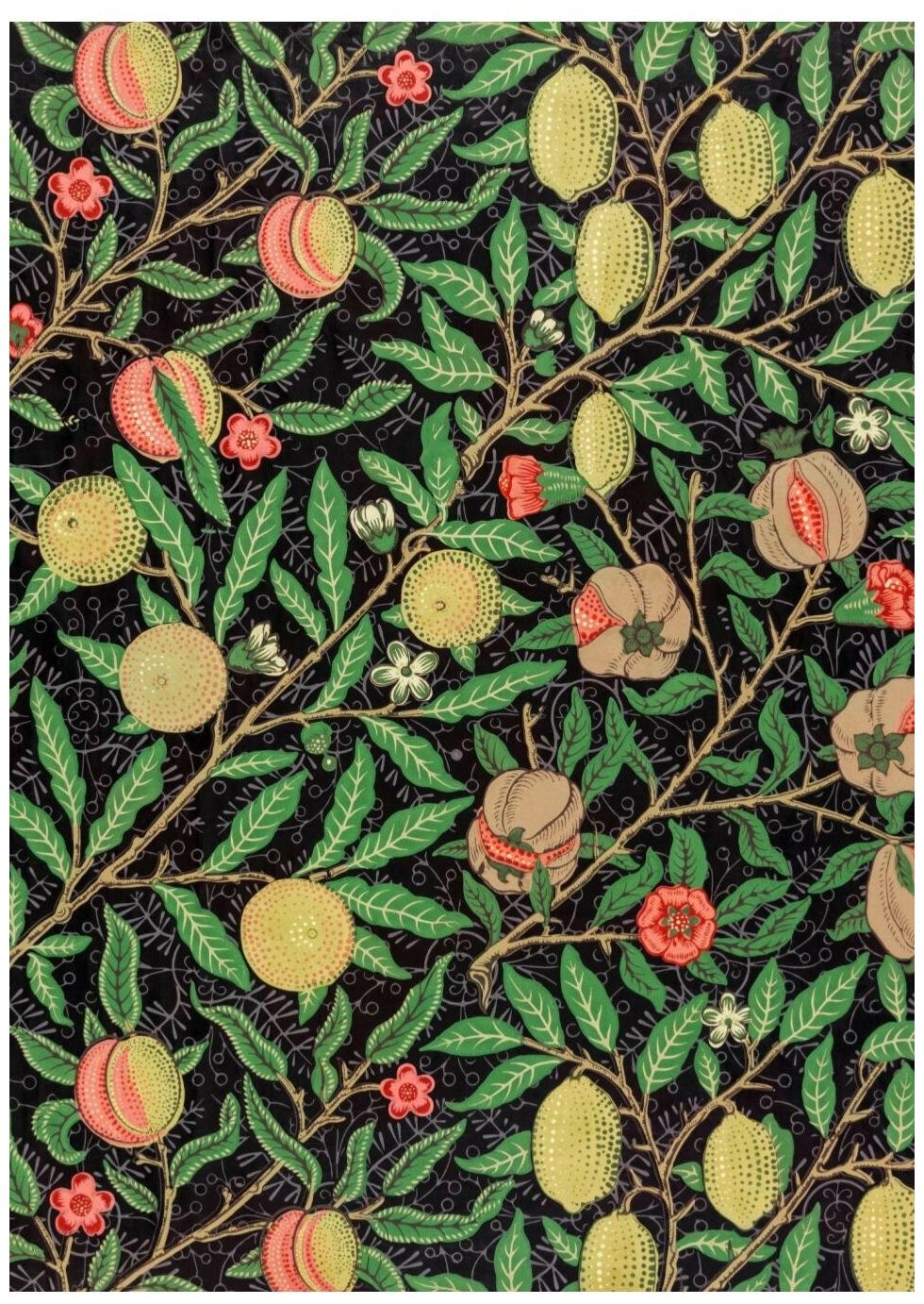 Постер / Плакат / Картина Уильям Моррис - Узор из фруктов 40x50 см в раме