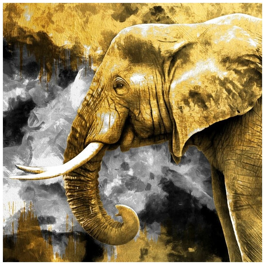 Фотообои Уютная стена "Графика индийского слона" 270х270 см Бесшовные Премиум (единым полотном)