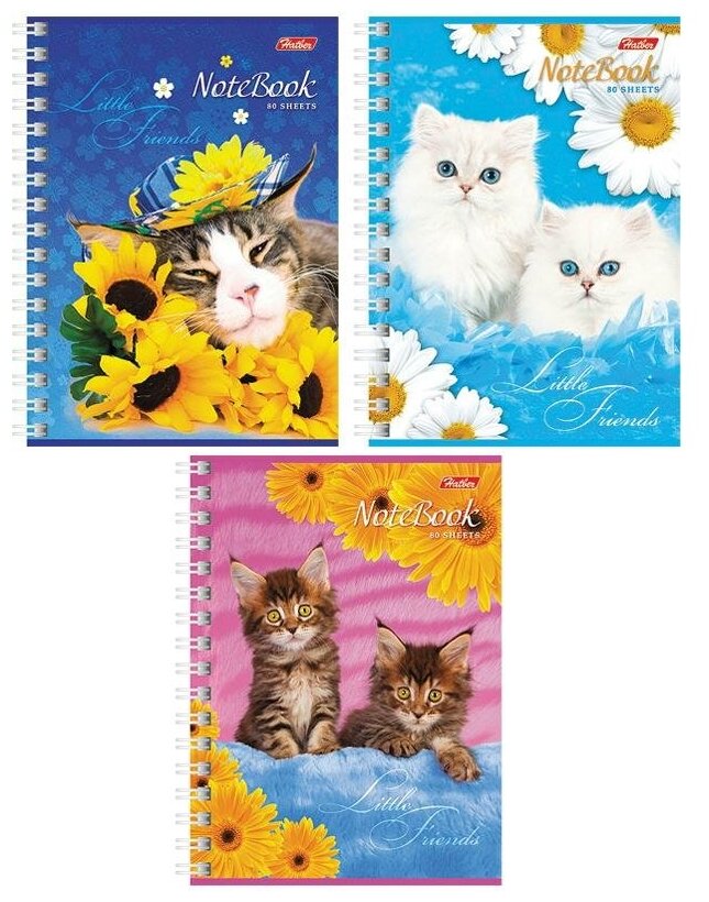 Hatber записная книжка А6 80Л. На гребне "милые котята"