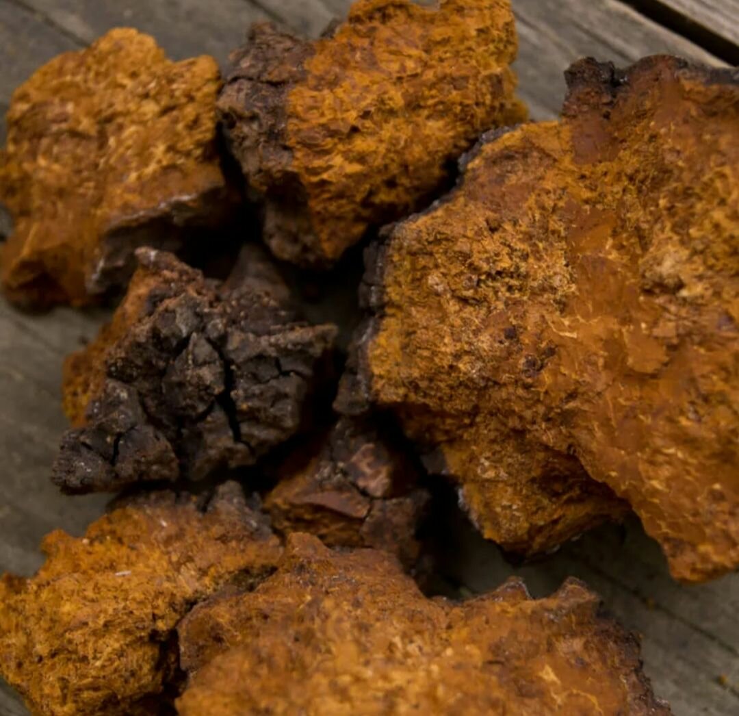 Чага сырая 250г.